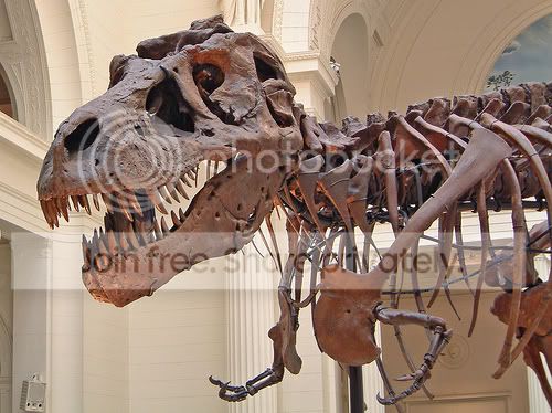 T-Rex: History Rewritten | MonsterFishKeepers.com