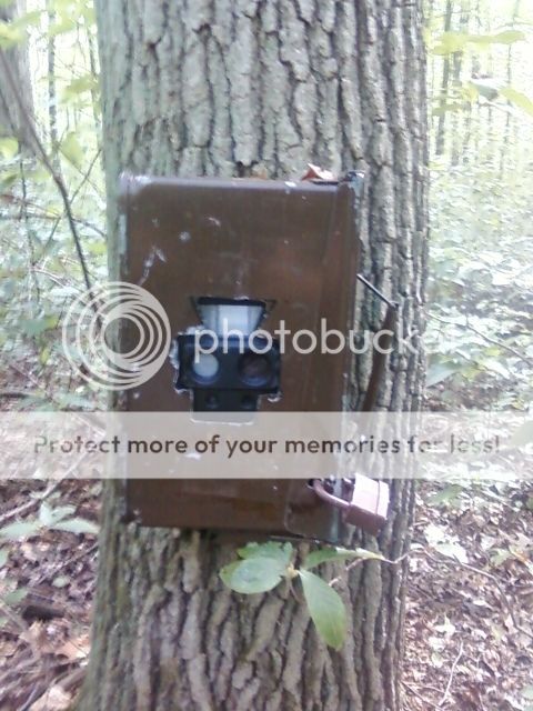 Lets see those DIY trail cam lock boxes | Archery Talk Forum