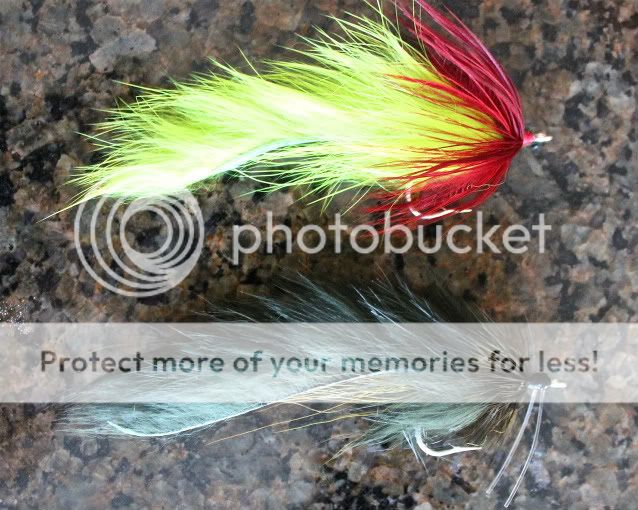 The Swamp Rabbit.... | Dedicated To The Smallest Of Skiffs