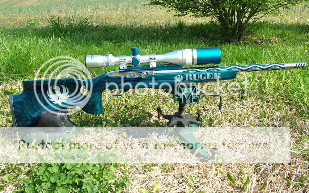 Show off your Tuck stocks | Rimfire Central Firearm Forum